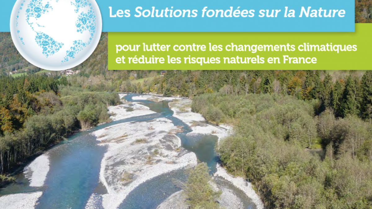 Les solutions fondées sur la nature pour lutter contre les changements ...